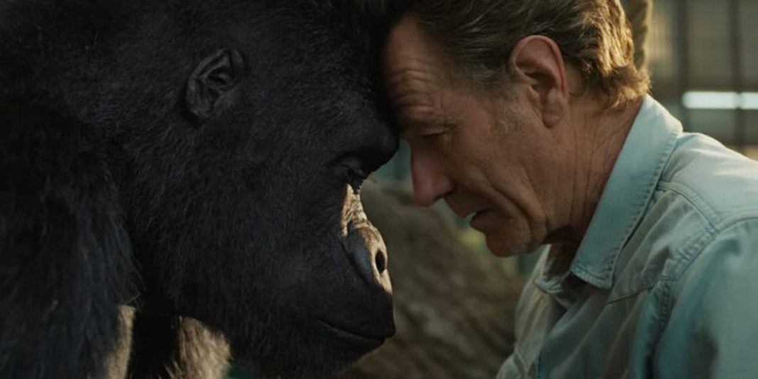 Diane Warren & Charlie Puth Will Have An Original Song For Disney’s ...