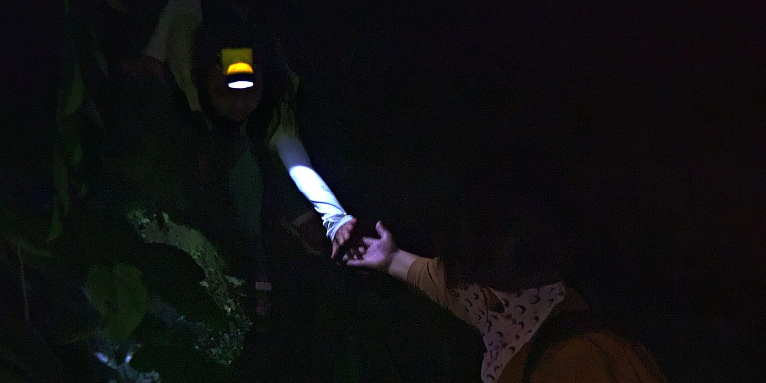 "BEYOND UTOPIA" - Review