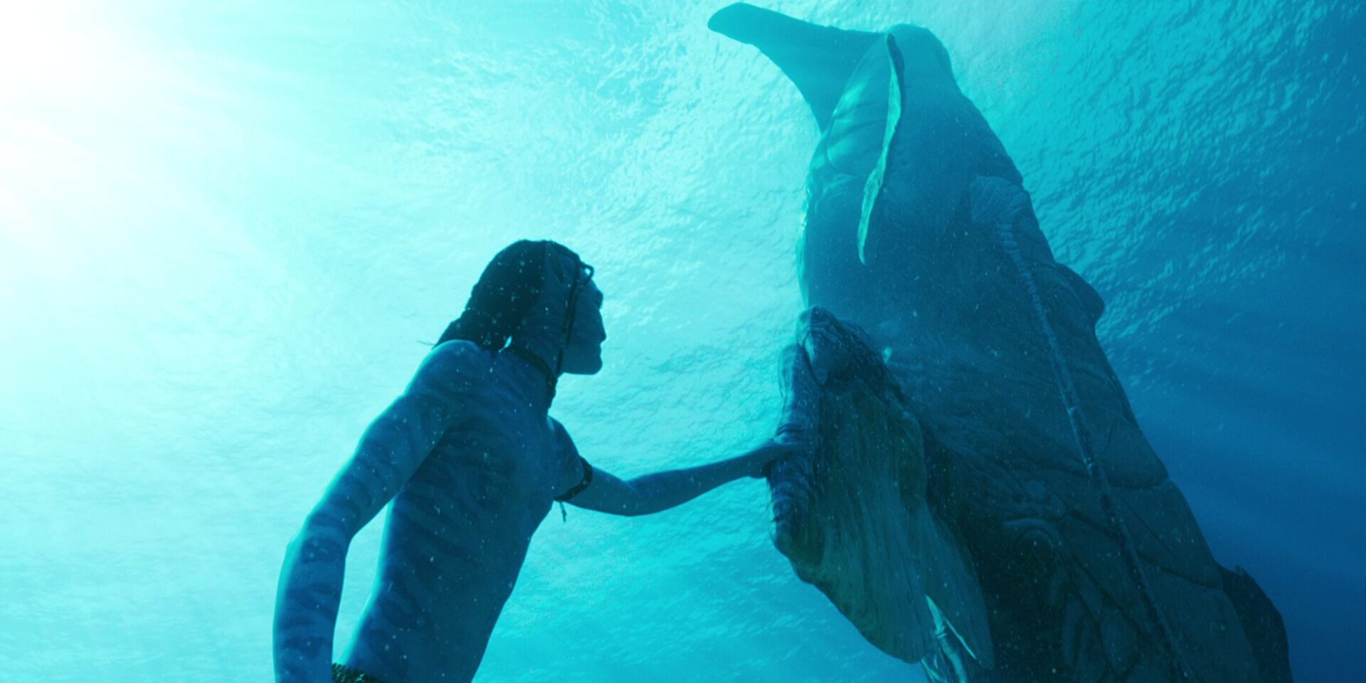 Why "Avatar: The Way Of Water" Is Still A Great Viewing Experience At Home